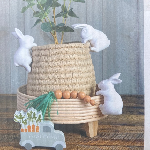 Target | Accents | Target Bullseye Easter Bunny Planter Figurals | Poshmark